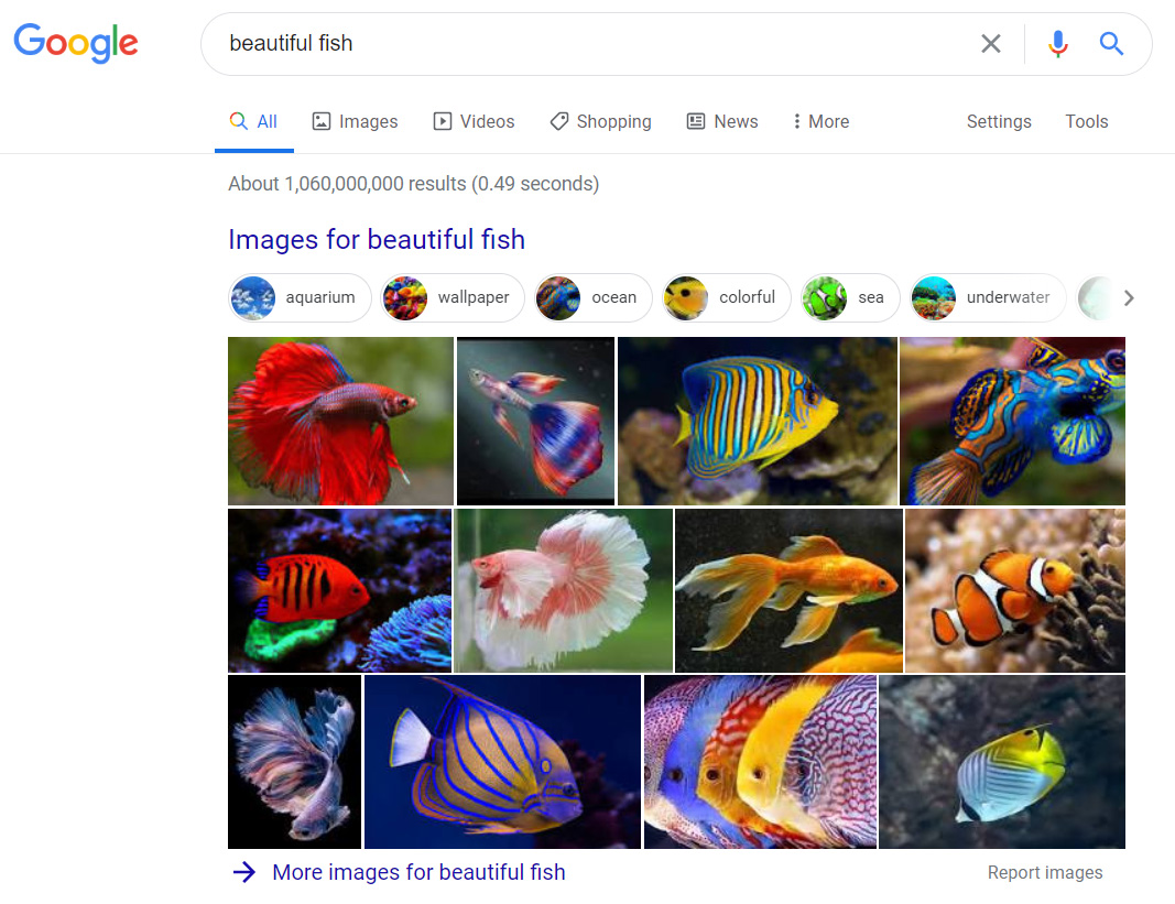 The Dirty Secret to Ranking #1 on Google (part 1 of 3) - SparkToro